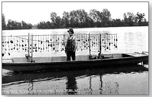 Wild About Illinois Mussels!